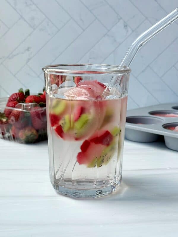 Fruit Ice Cubes - Lesswithlaur